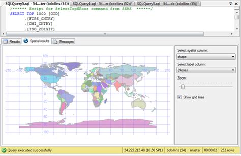 embedding maps in sql server reporting services using