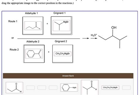 Solved Drag The Appropriate Image To The Correct Position In The