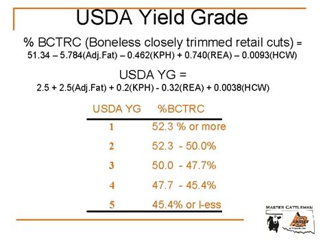 Beef Quality Yield And Feeder Cattle Grades Grading