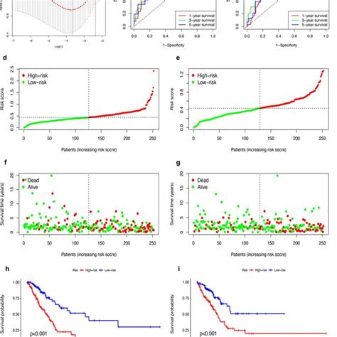 Building The Prognosis Model And Survival Analysis A The Process Of