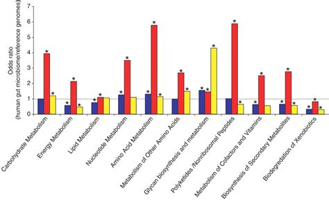 Metagenomic Analysis Of The Human Distal Gut Microbiome Science