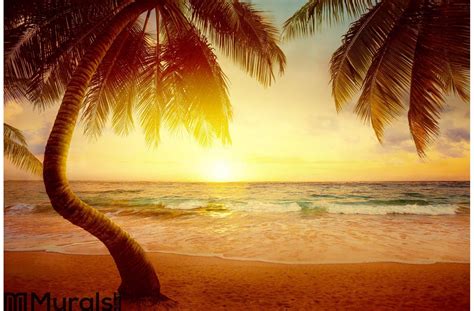 Art Beautiful Sunrise Over The Tropical Beach Wall Mural