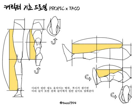 타코작가 On Twitter 다리 드로잉 강좌 해부학 그림