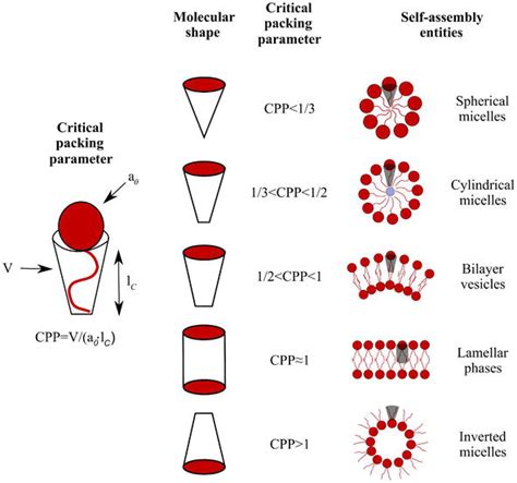 modeling the behavior of amphiphilic aqueous solutions intechopen