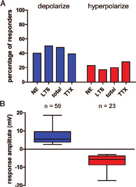 The Effects Of Adiponectin Are Direct And Proportionally Similar Across
