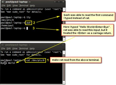 cómo usar el carácter de nueva línea n en bash shell linuxteaching