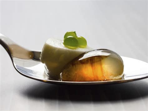 What Is Molecular Gastronomy Kitchen Adventures Scientific Recipes