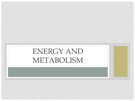 Ppt Energy And Metabolism Powerpoint Presentation Free Download Id
