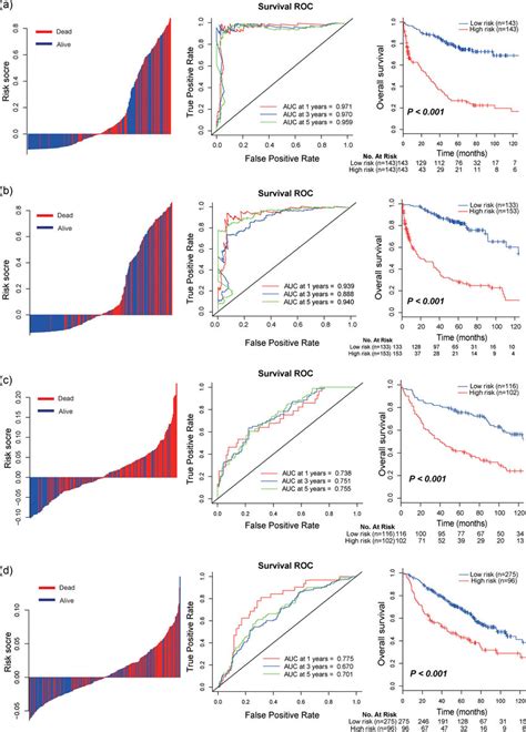 Distribution Of Risk Score Left Panel Time Dependent Roc Curves At