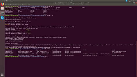 docker peer exit immediatly after starting with fatal error