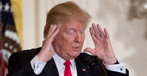 Opinion Trapped In Trumps Brain The New York Times