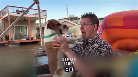 Le Grand Bêtisier Des Animaux 23 Octobre Vidéo Dailymotion