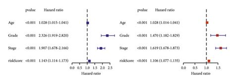 Development And Validation Of Prognostic Nomogram A B Forest Plots