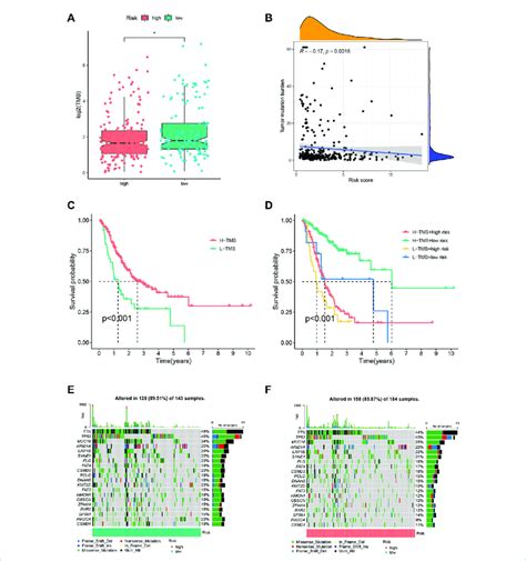 Tumor Mutation Burden Tmb Analysis Of The Frlp Risk Score Model A