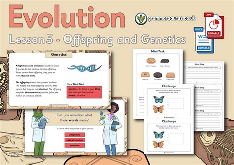 Year 6 Science Evolution Offspring And Genetics Lesson 5