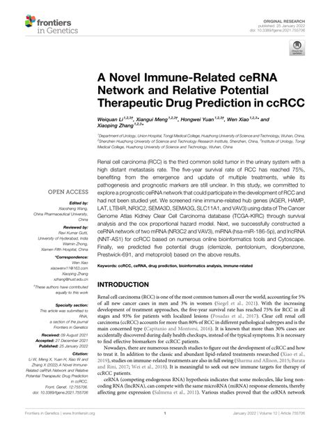Pdf A Novel Immune Related Cerna Network And Relative Potential