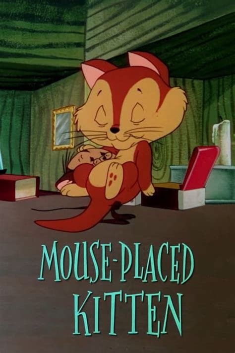 Mouse Placed Kitten 1959 — The Movie Database Tmdb