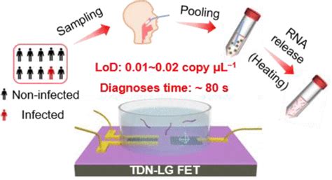 Rapid Sars Cov 2 Nucleic Acid Testing And Pooled Assay By Tetrahedral