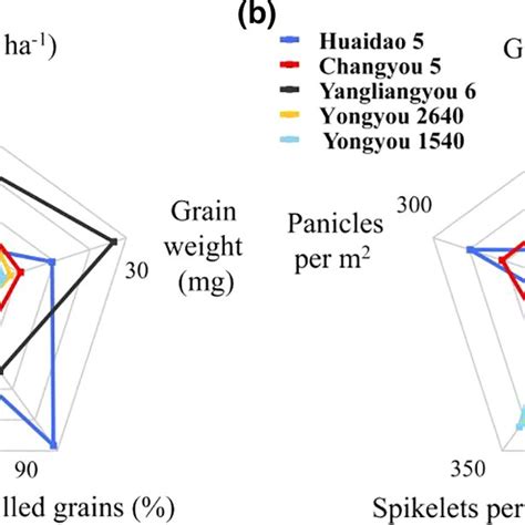 Yield And Yield Components Of Rice Varieties With Different Panicle