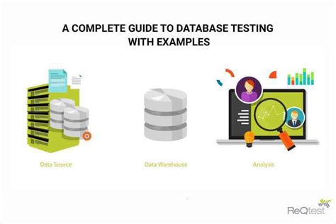 a complete guide to database testing with examples reqtest