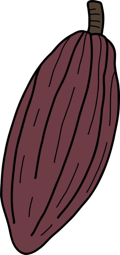 Dibujo A Mano Alzada De Fideos De Frutas De Cacao 13836214 Png