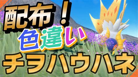 【ポケモンsv】色違いチヲハウハネ配布会！ Youtube