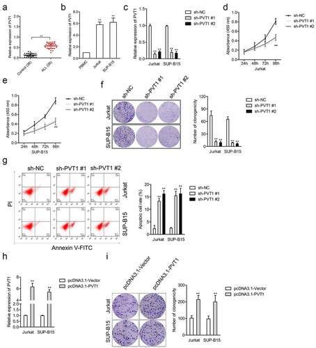 Full Article Long Non Coding Rna Lncrna Plasmacytoma Variant