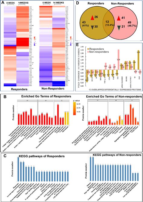 Results From Quantitative Proteomic Analysis Screened From Itraq Were