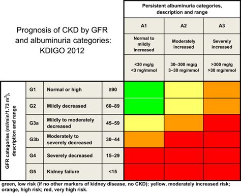 Kdigo 2017 Clinical Practice Guideline Update For The Diagnosis