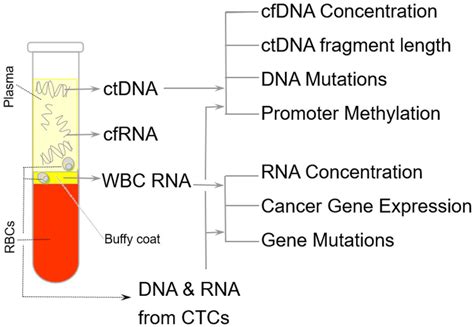 This Is A Schematic Diagram Showing The Collection Resource For Genetic