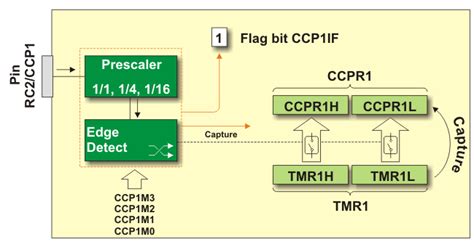 5 ccp modules pic microcontrollers programming in