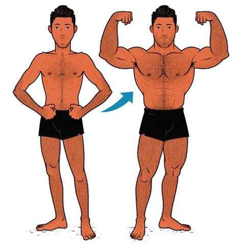 How Long Should You Bulk For