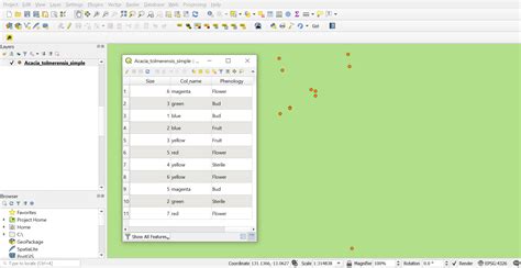 python define categorized renderer with symbols based on