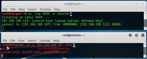 hacking with netcat part 2 bind and reverse shells hacking tutorials