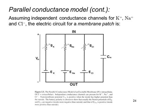 Elec Eng 4bd4 Biomedical Instrumentation Ppt Download