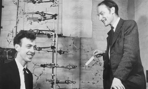 They Taught Us To Read The Genetic Code