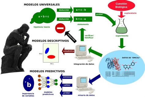 Metodo Cientifico Y Sus Pasos