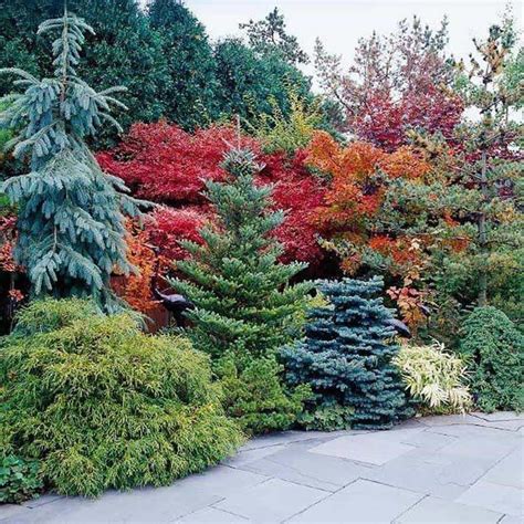 Garden And Lawn Beautiful Garden With Evergreen Shrubs Beautiful