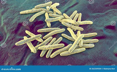 Bacteria Mycobacterium Tuberculosis The Causative Agent Of