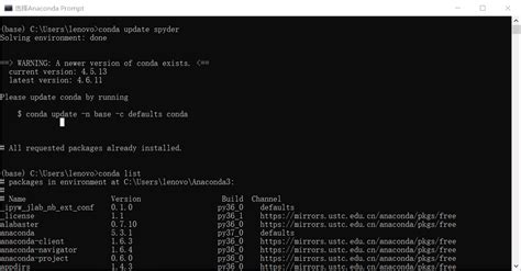 python how to fix the environment with inconsistent dependencies