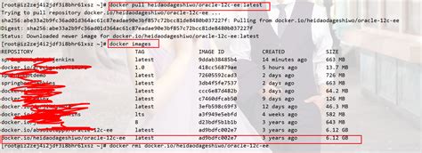 docker 安装oracle12 absolutapps oracle 12c ee （无废话版） （六
