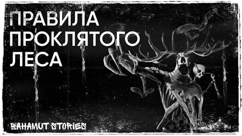 ПРАВИЛА ПРОКЛЯТОГО ЛЕСА Страшные истории на ночь Страшилки на ночь