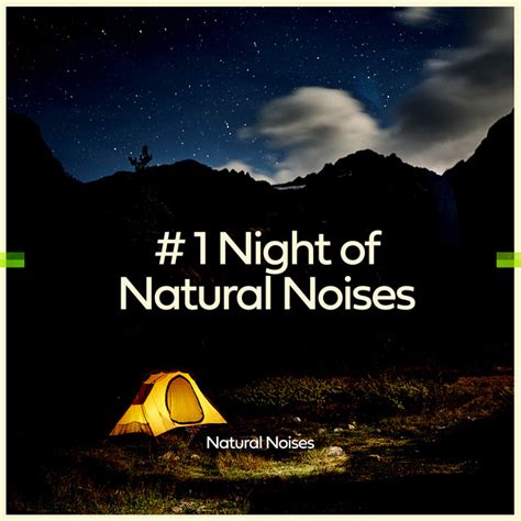 Forest Walk Música E Letra De Natural Noises Spotify