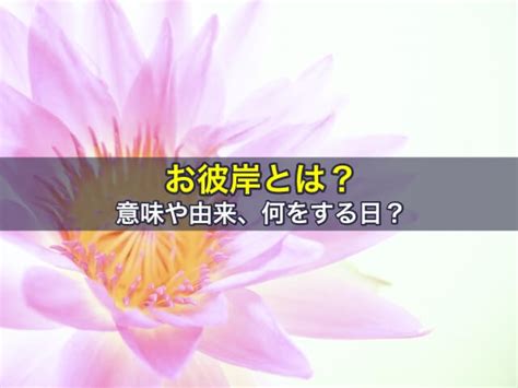お彼岸とは？2024年はいつ？意味や由来、何をする日？ 日本の年中行事