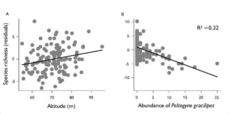Relationship Between Species Richness And A Average Altitude And B