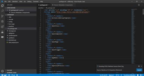 how to get package xml in salesforce einstein hub salesforce guide