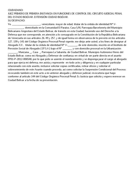 Nombramiento De Defensor Pdf
