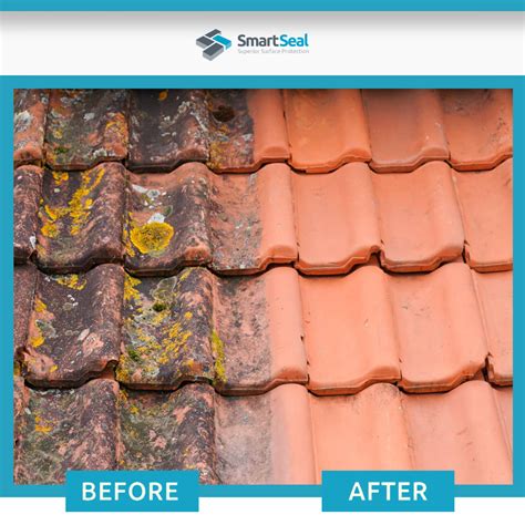 Roof Cleaning Products Roof Tile Cleaner