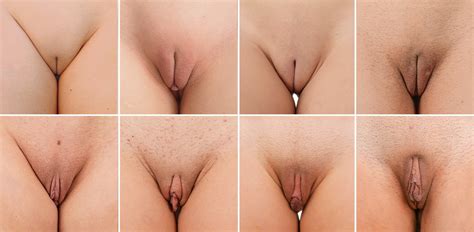 nice pussy photo album by lovepawn xvideos