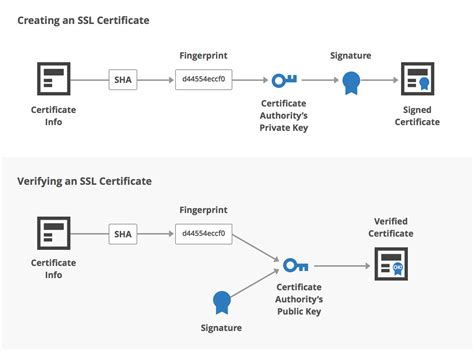tls certificate optimization lazyloading for legacy browsers